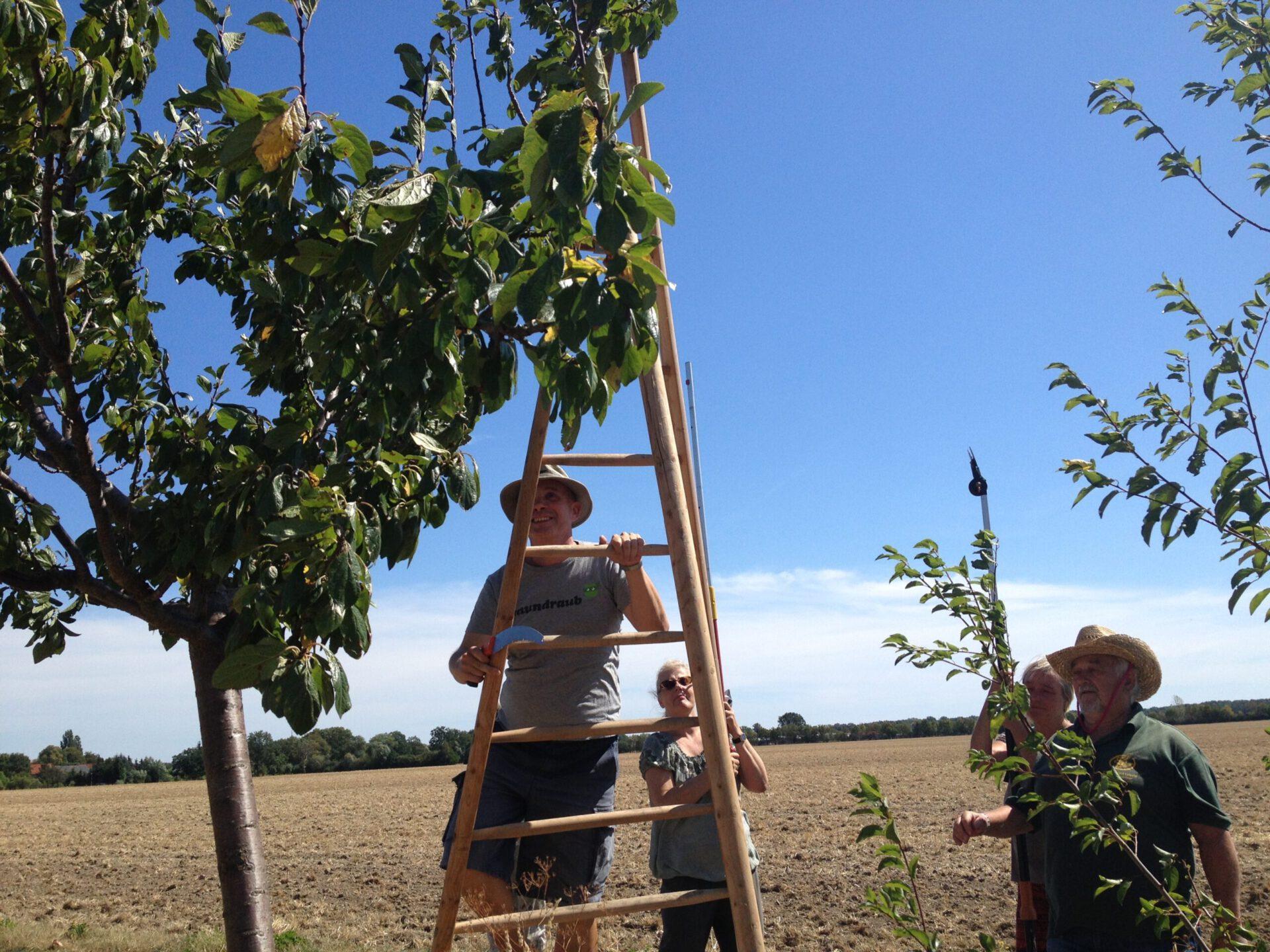 Obstgenossen – Leipzig Gruen